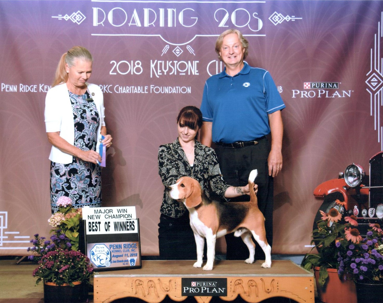 Bronson – SUGAR HILL HOUNDS – PRESERVING FORM & FUNCTION IN OUR BREED